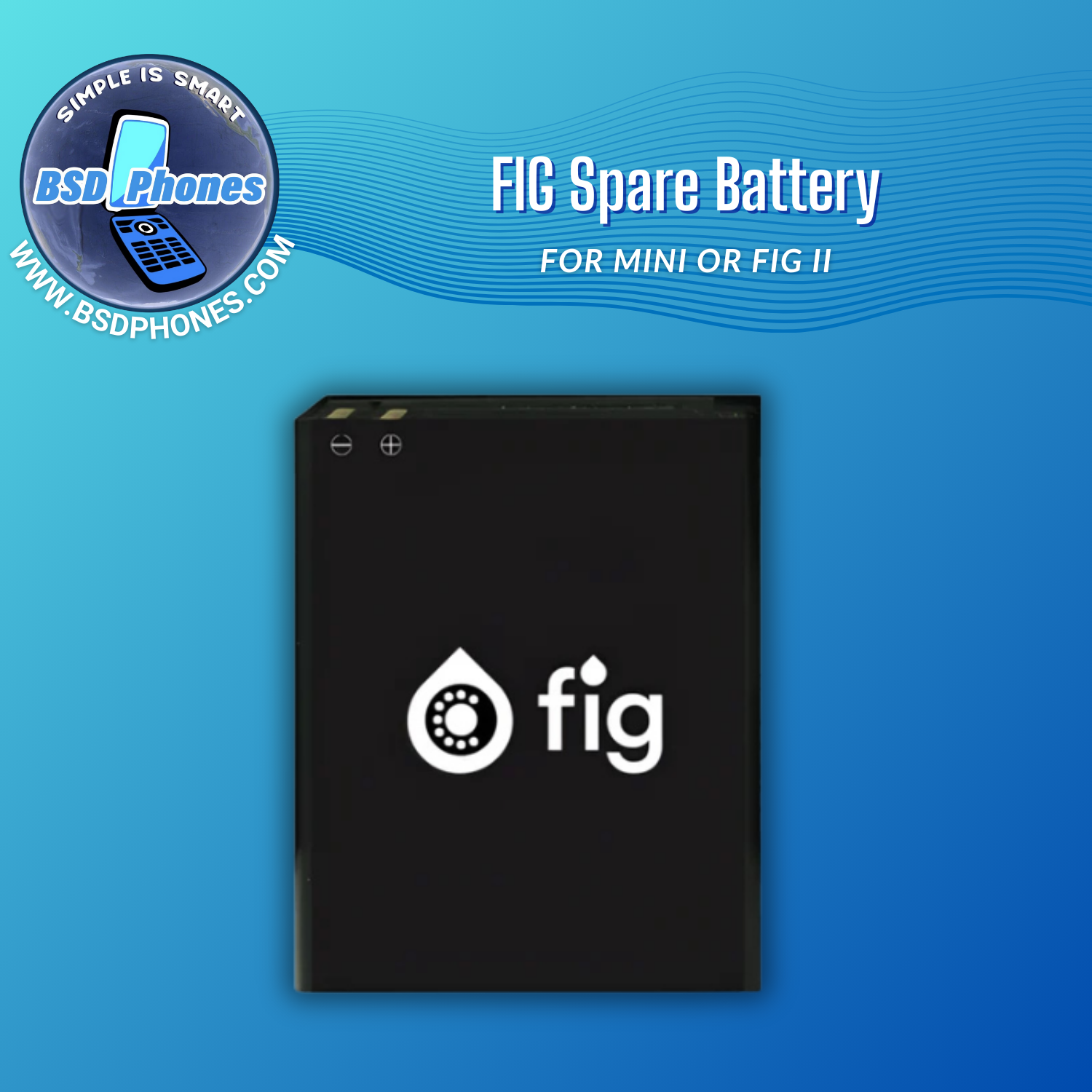 FIG MINI Battery